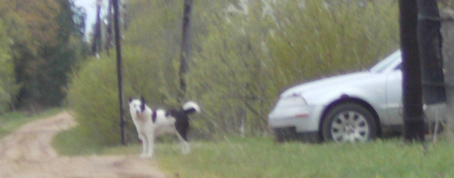 Спирово21век