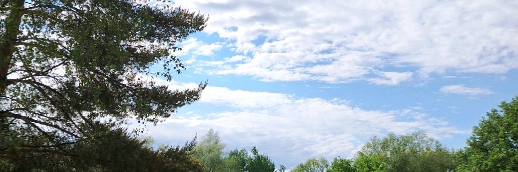 Весёлая Кнопка