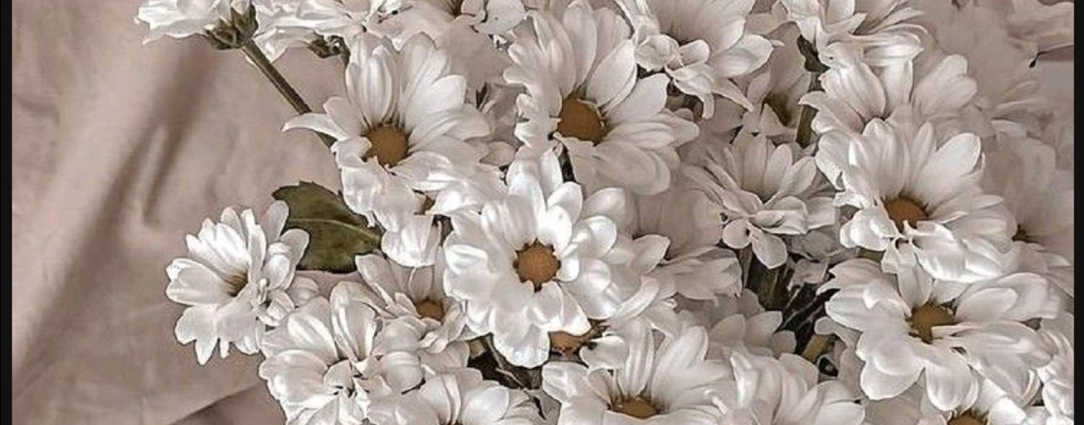 ٠·ᏙᴀƞiƖᴀ·٠