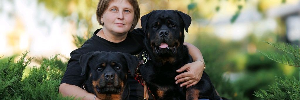 Rottweiler Kennel