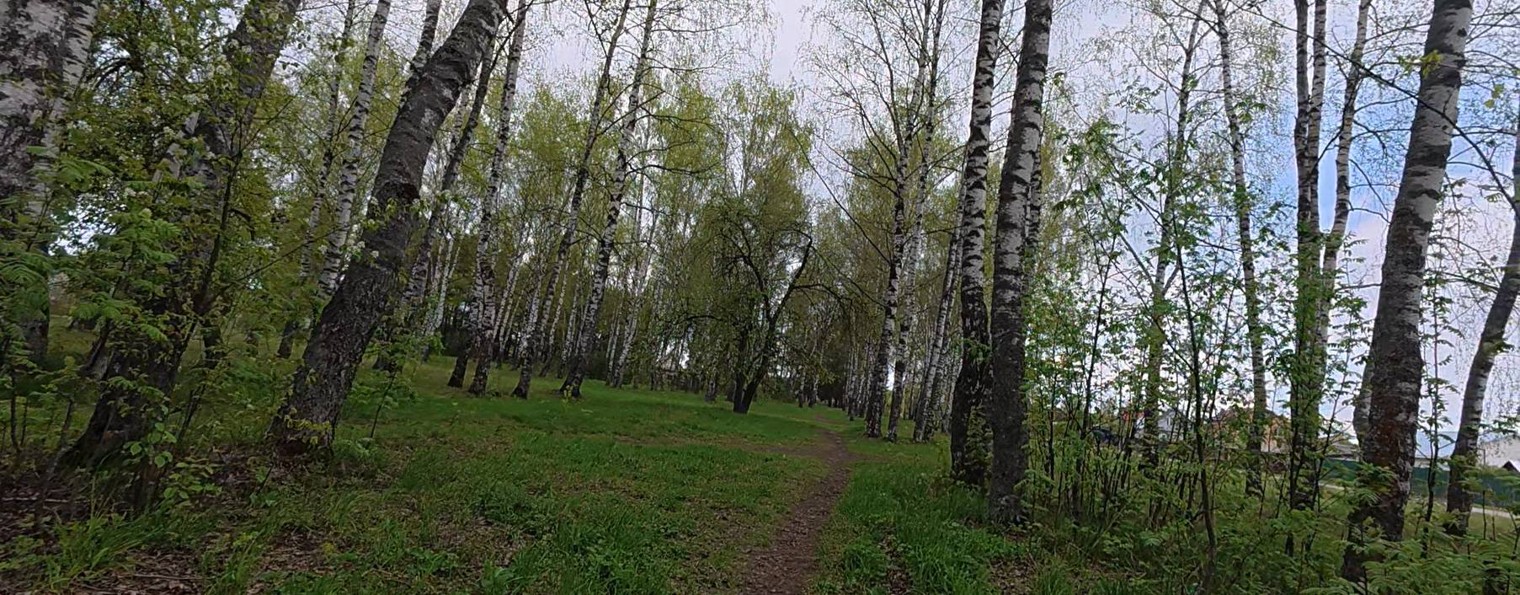 Легкие дорожки