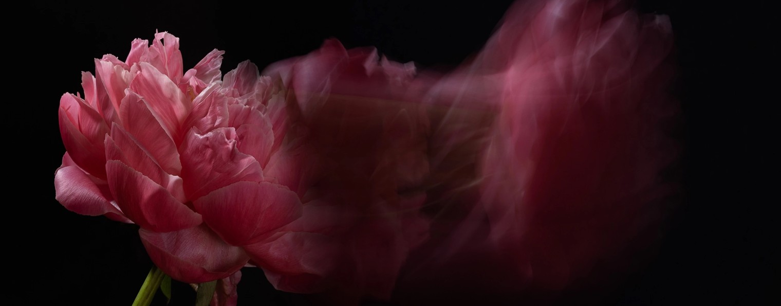 Психолог · Коуч | Ирина Киселева