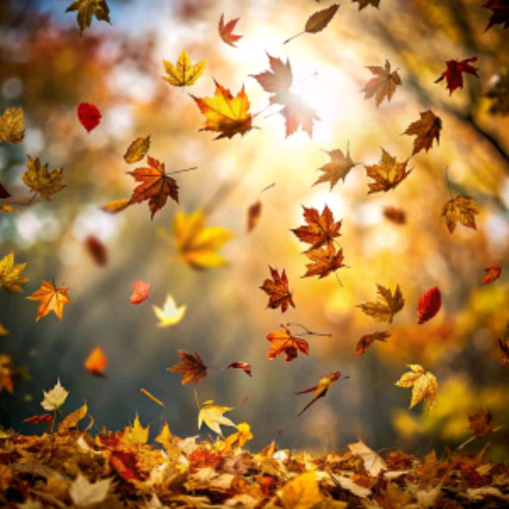 Душа говорит - Мила Я