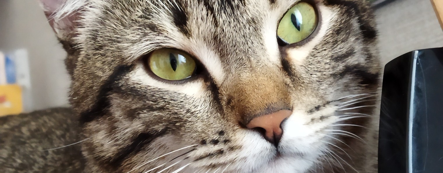 Жизнь  прекрасна!