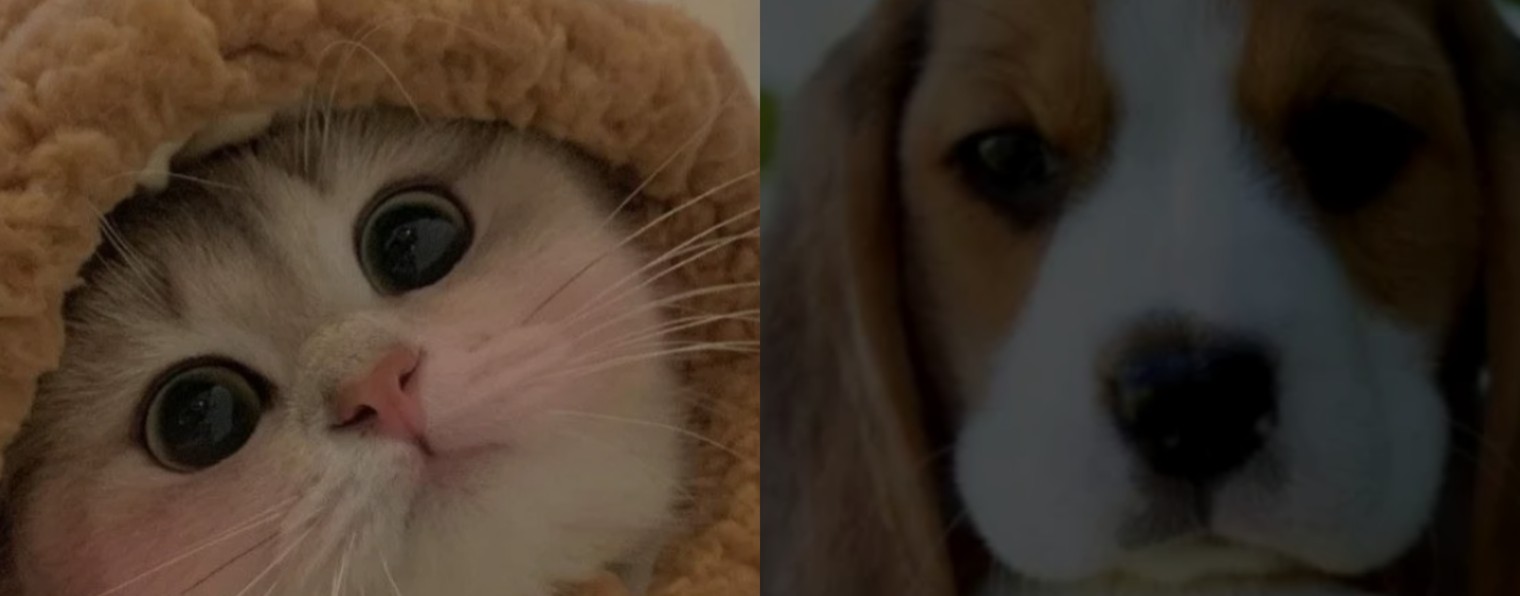 ♥️Лепёшки ♥️