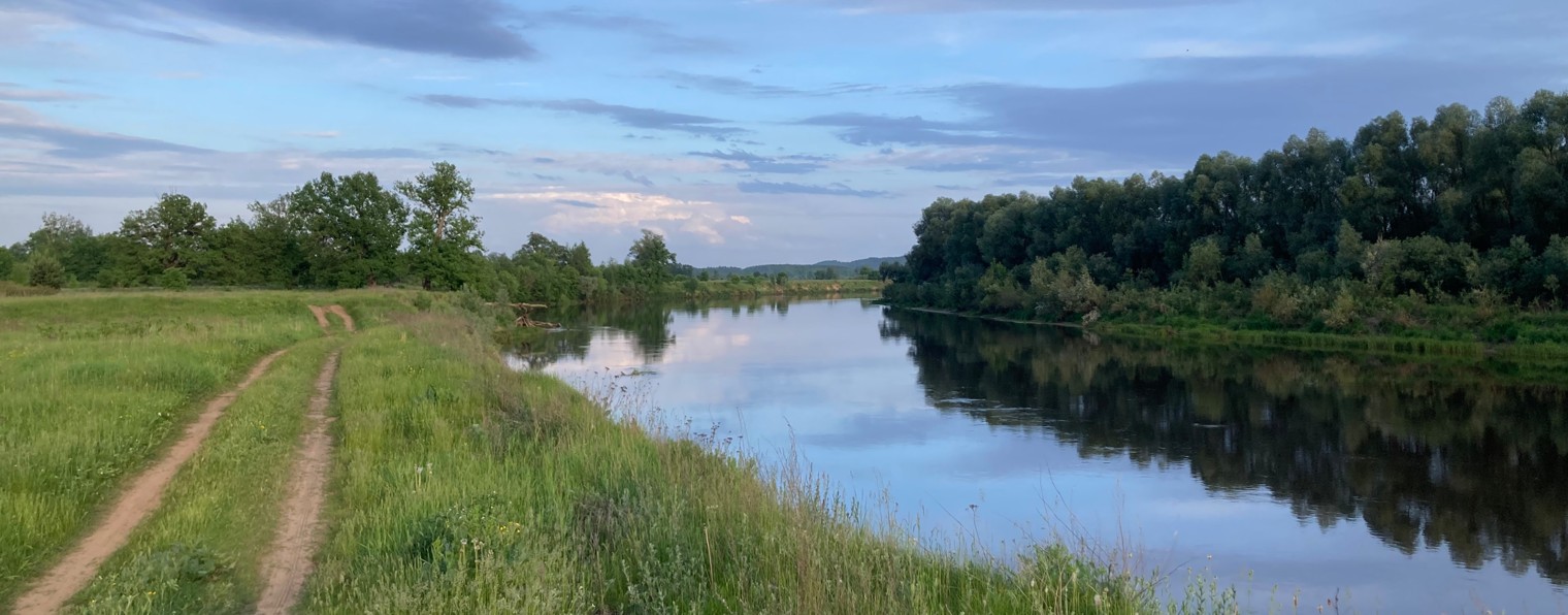 Мы про природу