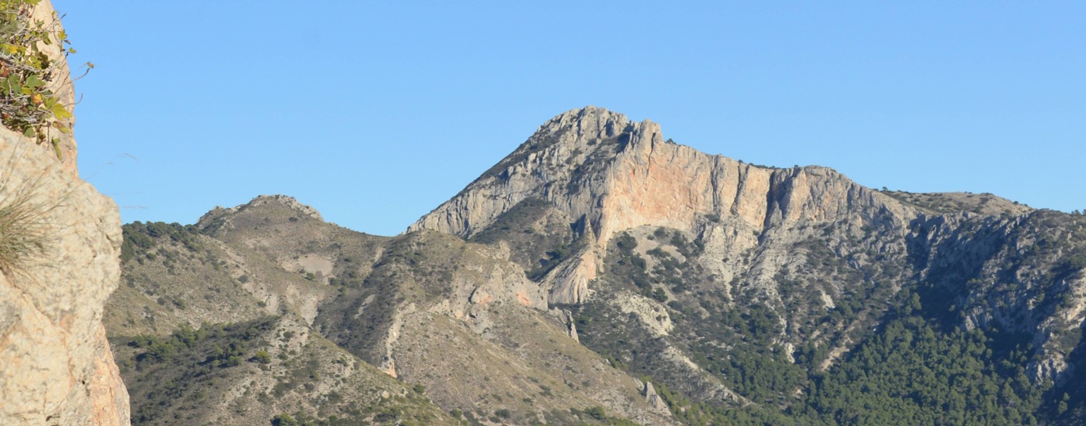 Скала Сити скалодром