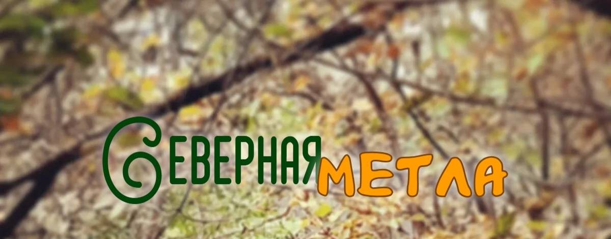 СЕВЕРНАЯ МЕТЛА