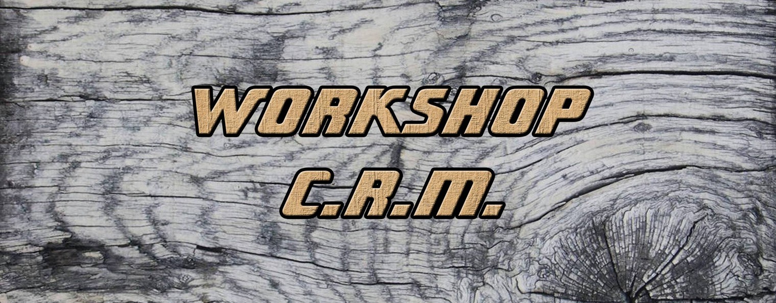 Workshop C.R.M.