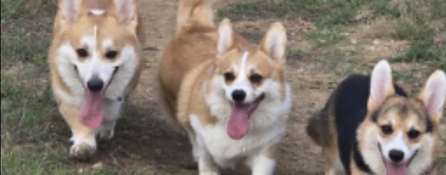 БусяФантусяКексюша