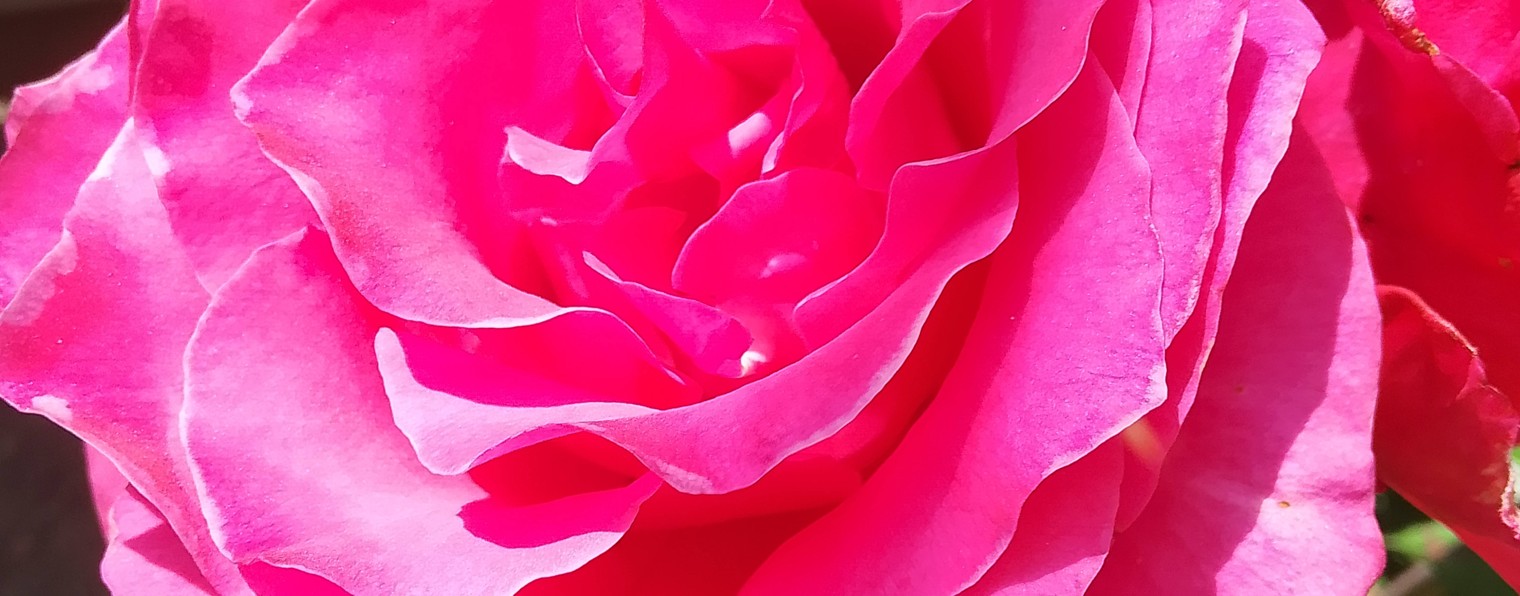 КУЛИНАРИЯ И МОМЕНТЫ ИЗ ЖИЗНИ