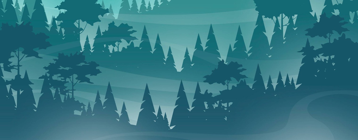 Медвежье логово