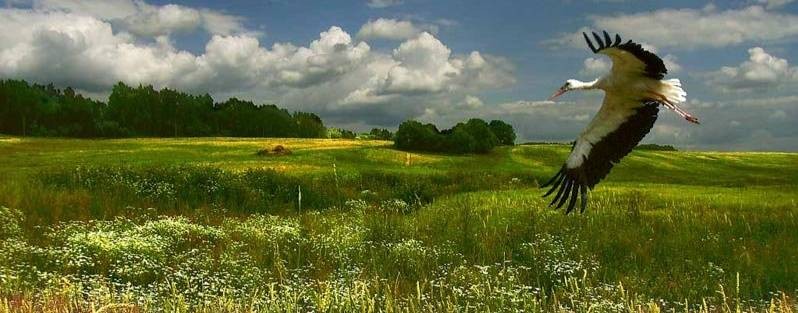 Виктор Винничек - автор. Необыкновенные истории.