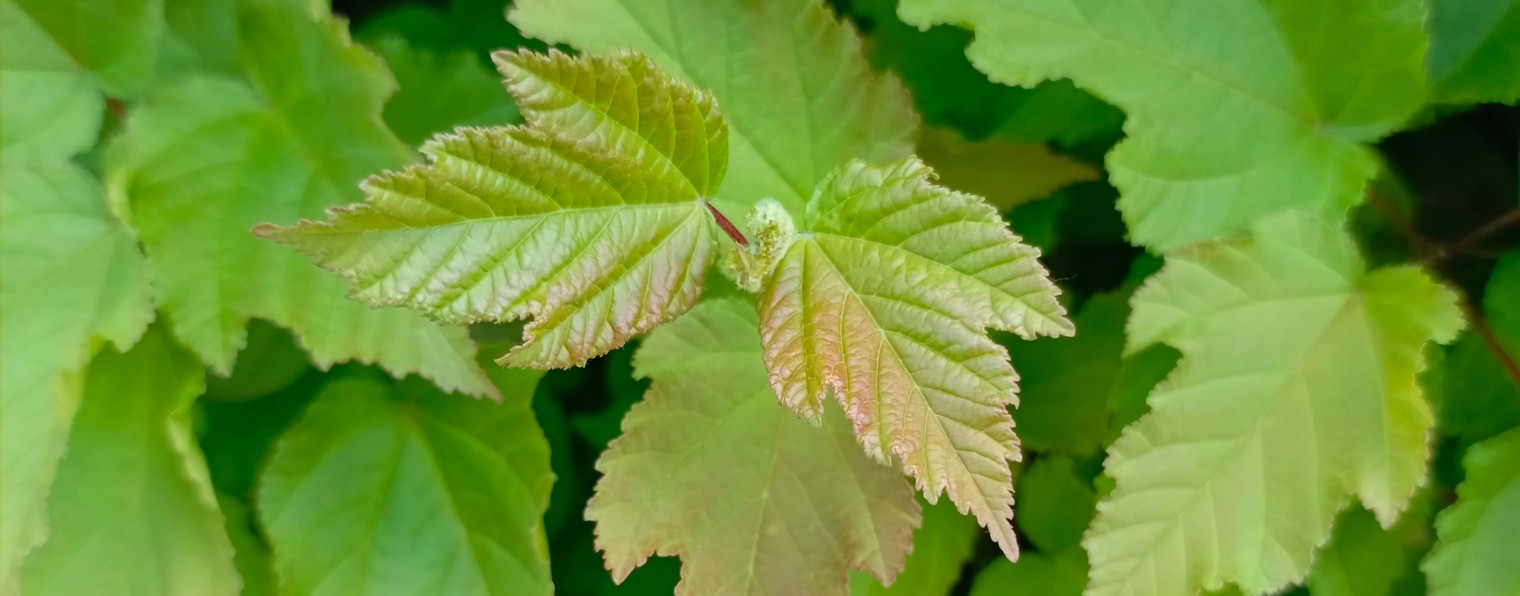 Воспитатель301