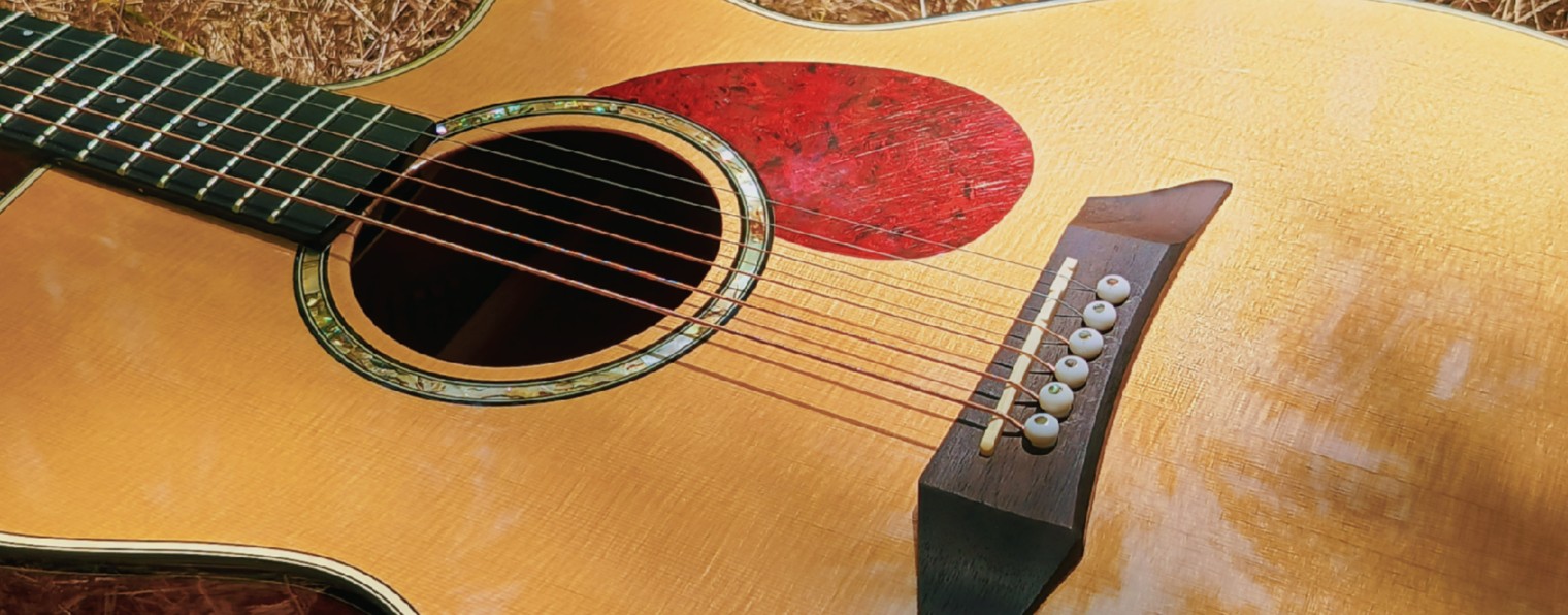 Francis - Гитарная Тема