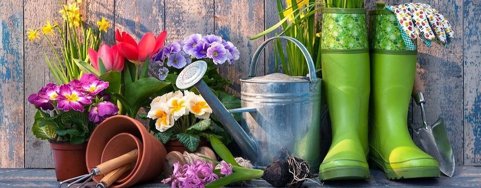 Тайны садовника