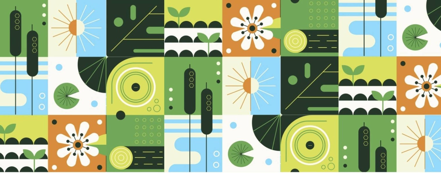 АНО «Новая Экосистема»