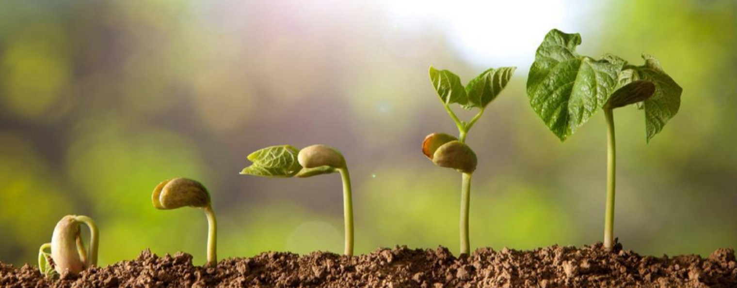 Школа_Сезам_24