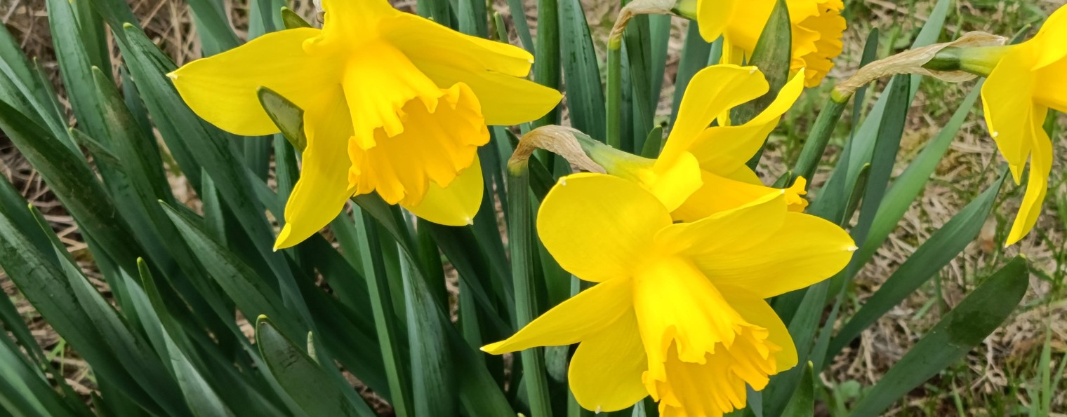 АгроФеечка