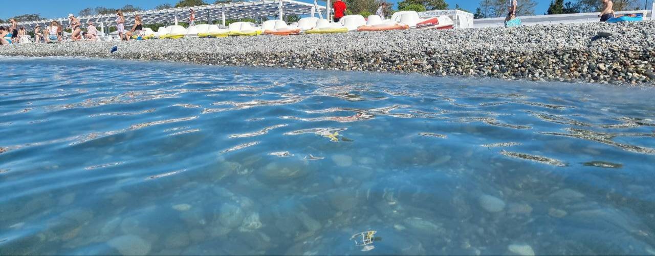 Елена Воробьева