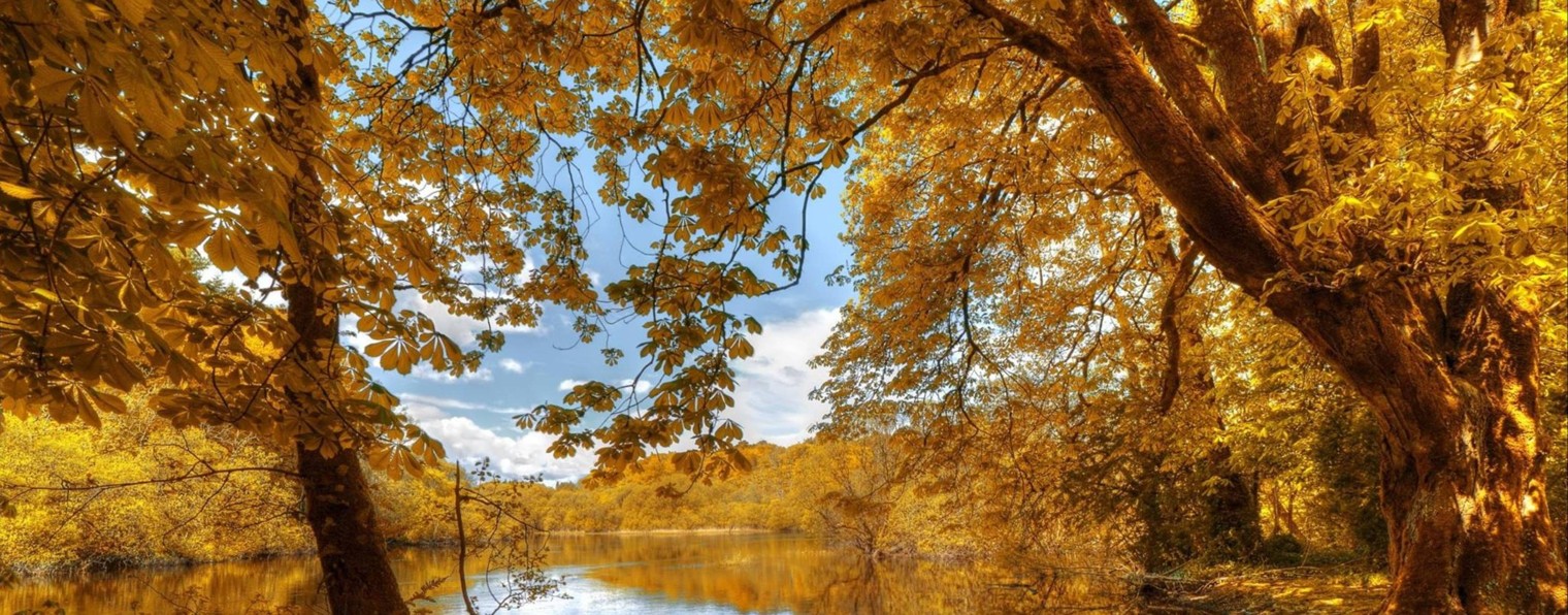 Лариса-Стефания