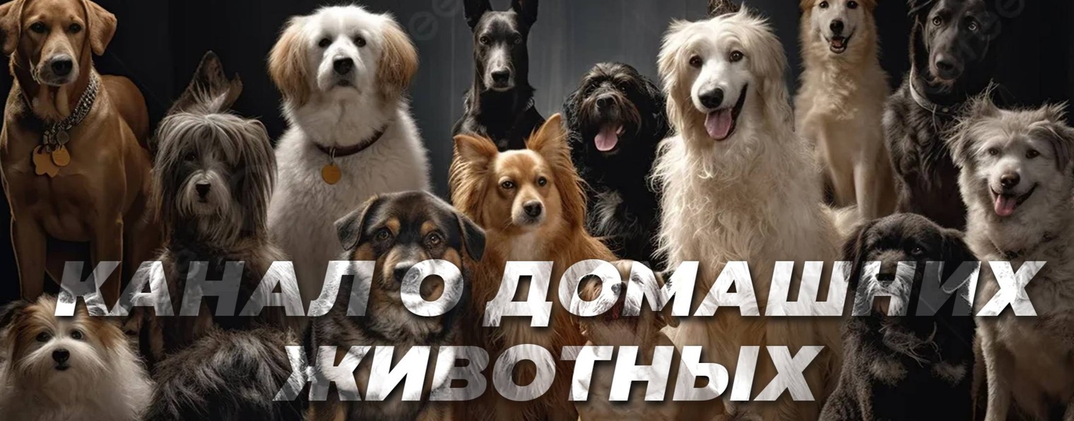 всё обо всём