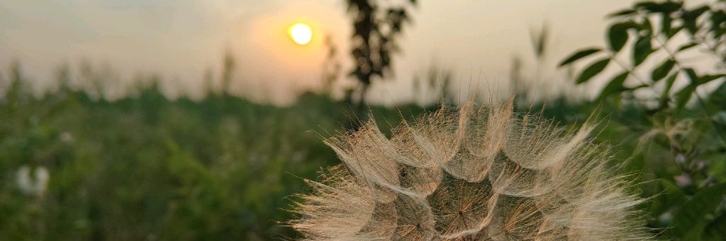 Наталья Дубина (мама)