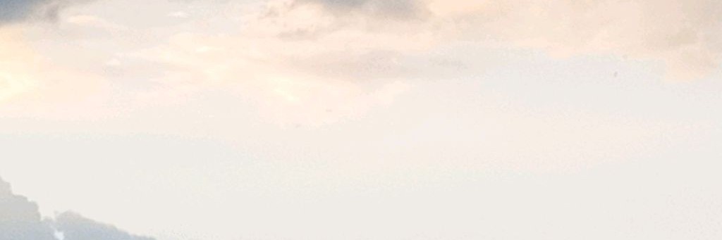 Хомячки 🐹✔