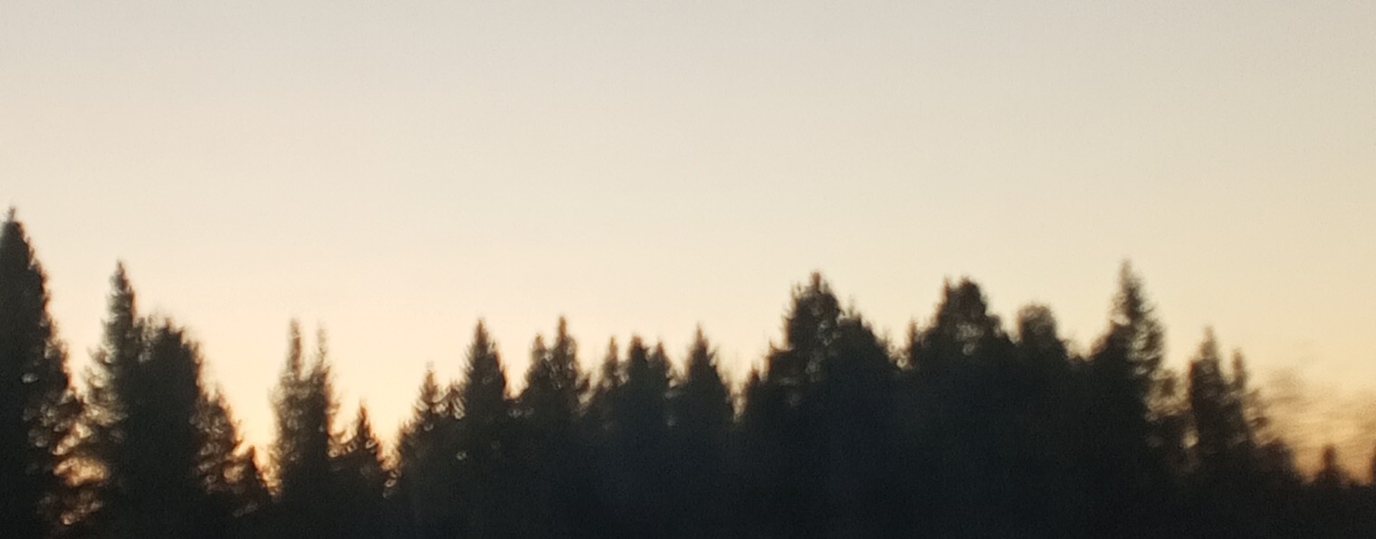 💞Девочка и кот💞