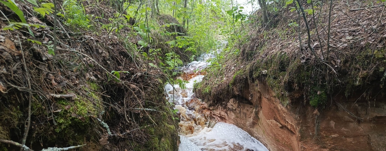 Путешествия и кулинария