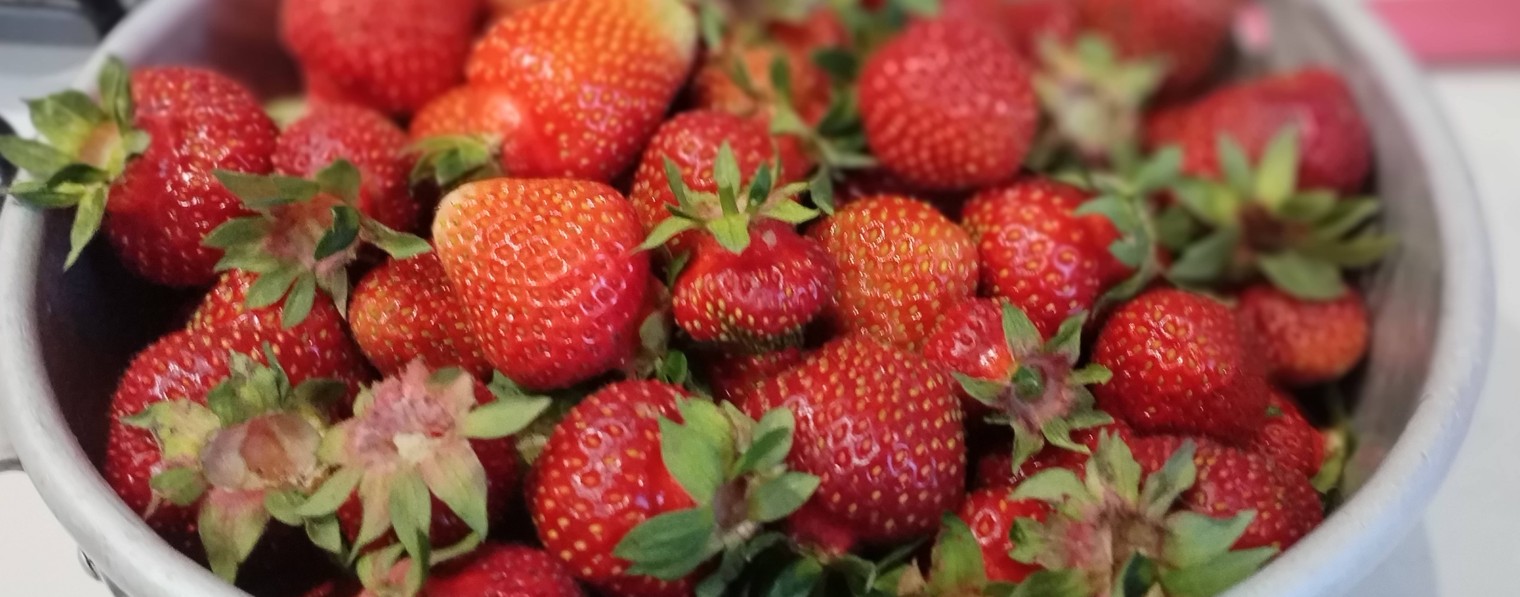 Деревенька моя Галюня в деревне