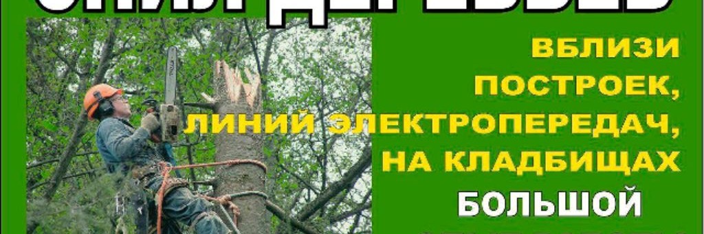 Спил деревьев в Донецке , Макеевки и ДНР