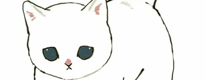 FIVA это котик