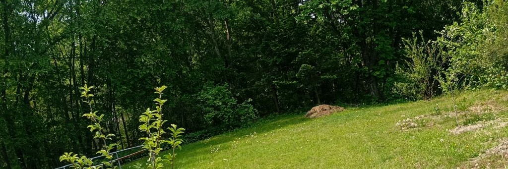 Я из будущего!