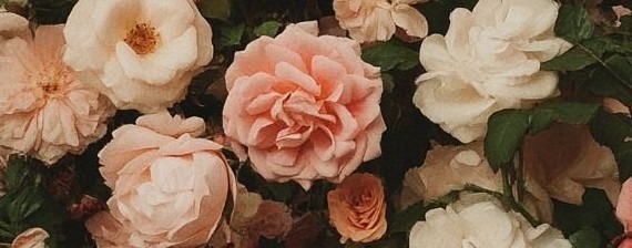 💎Верочка 💎