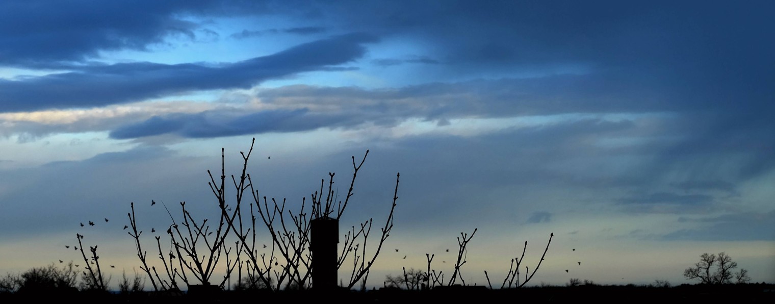 Культурно с Эдуардом_9611618