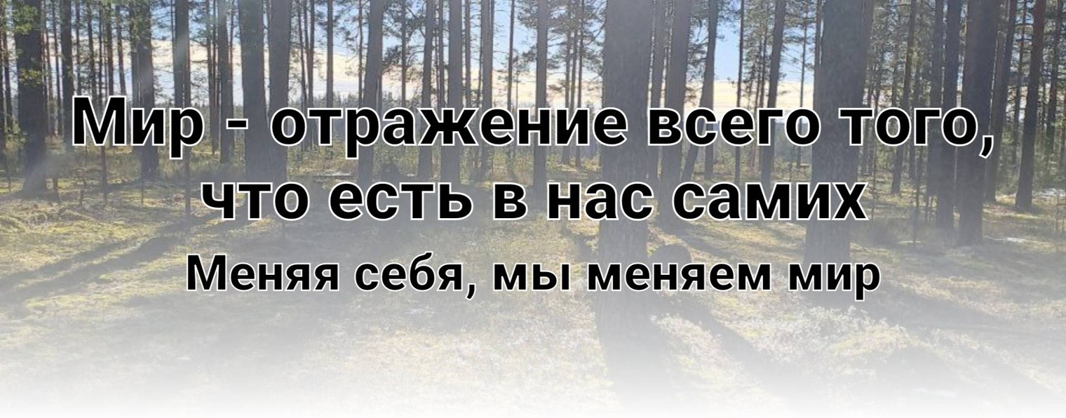 Анна Лисицына