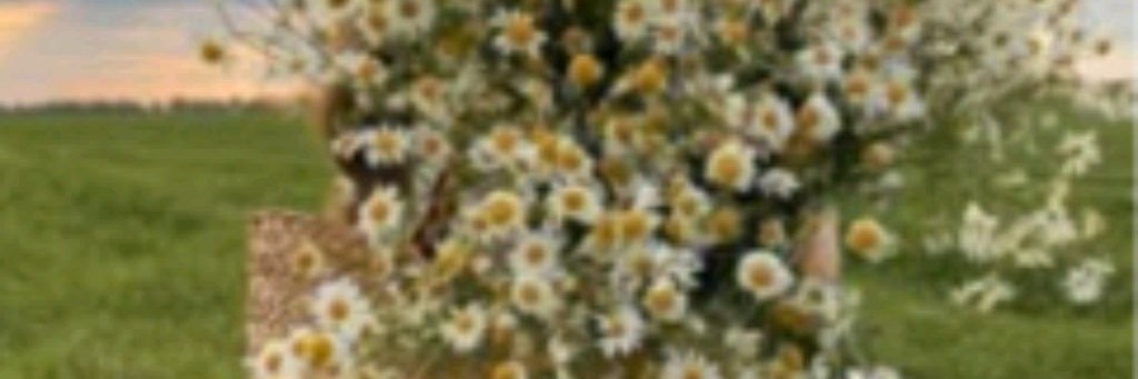 •°	{	➰Эстетик• AVATAR• world🌲} •°