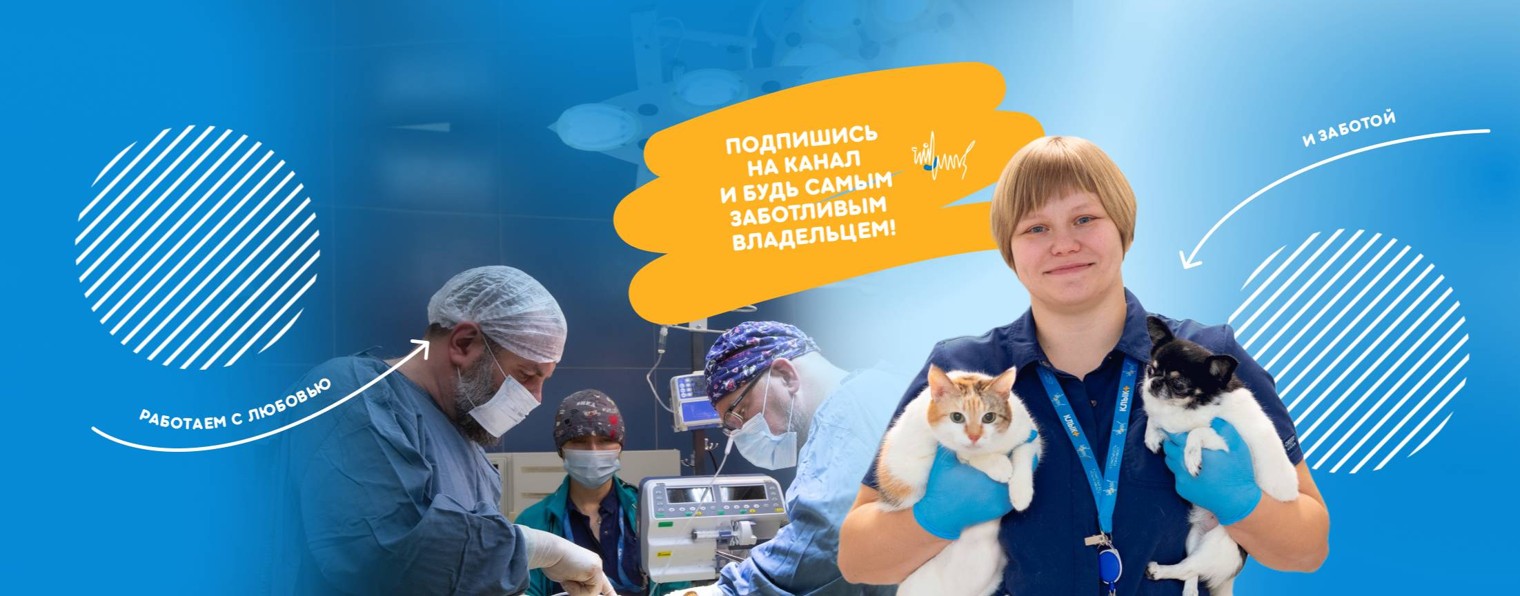 Ветеринарная клиника Клык+
