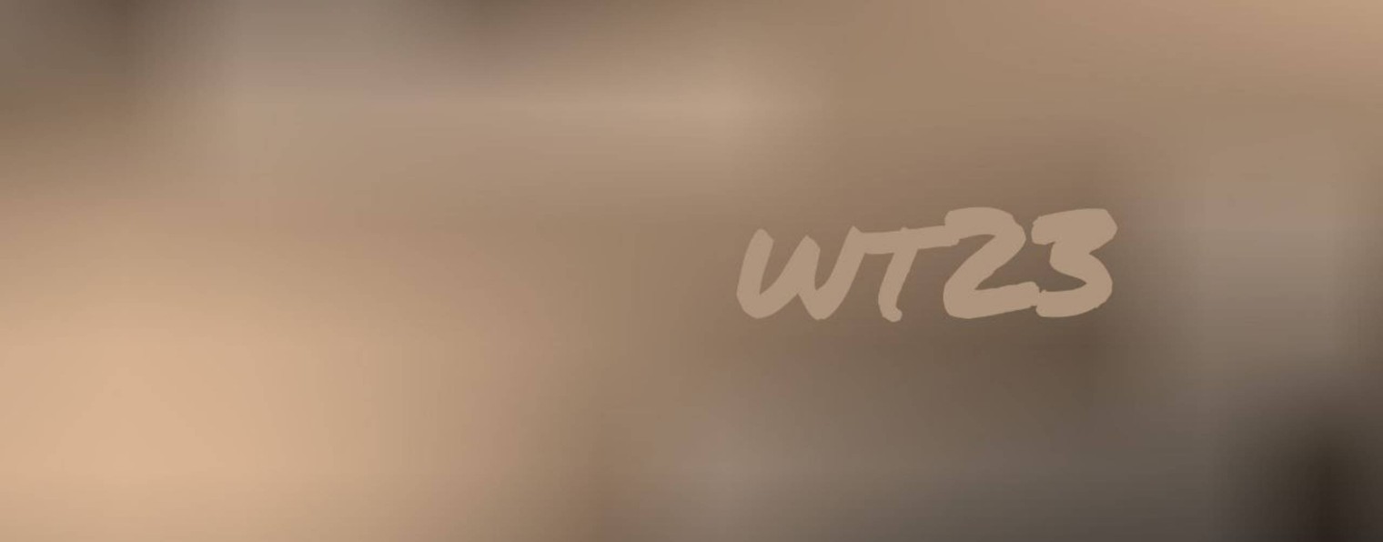 Wt23