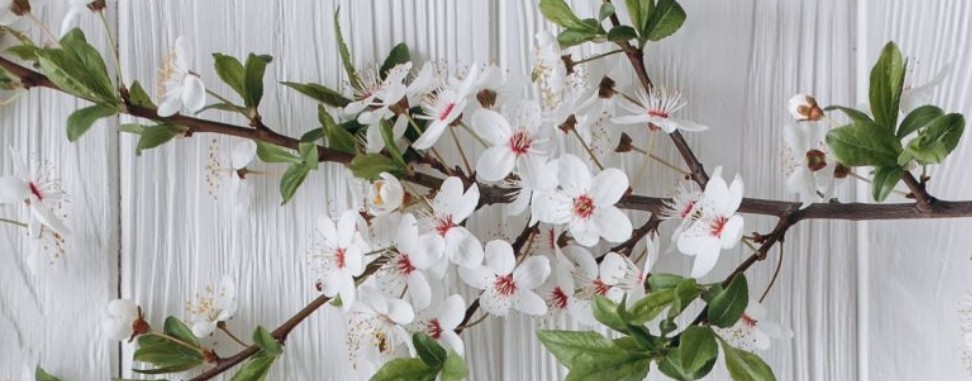 Видеооткрытки, интересные обзоры и распаковки