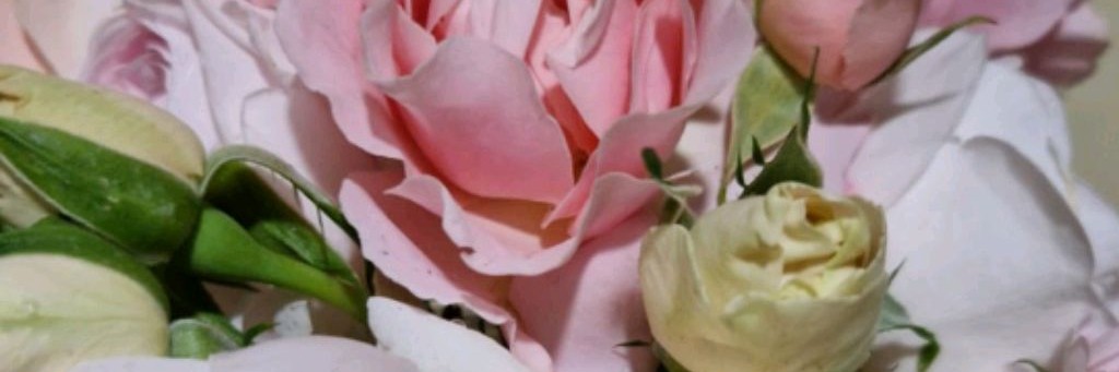 Ирина Синеокова