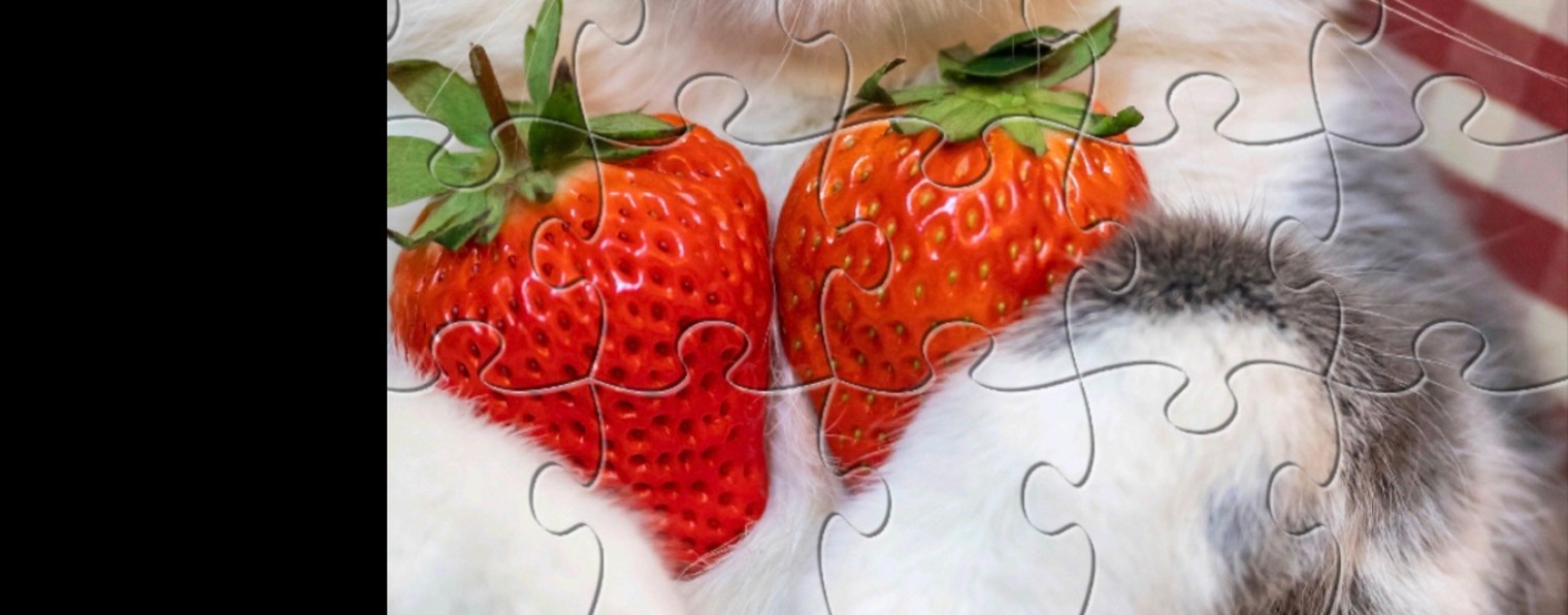 Василиса снежная