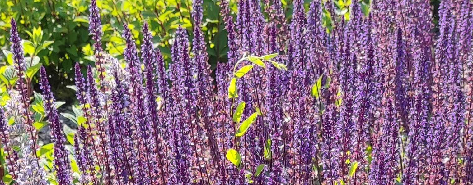 Просто Как Есть