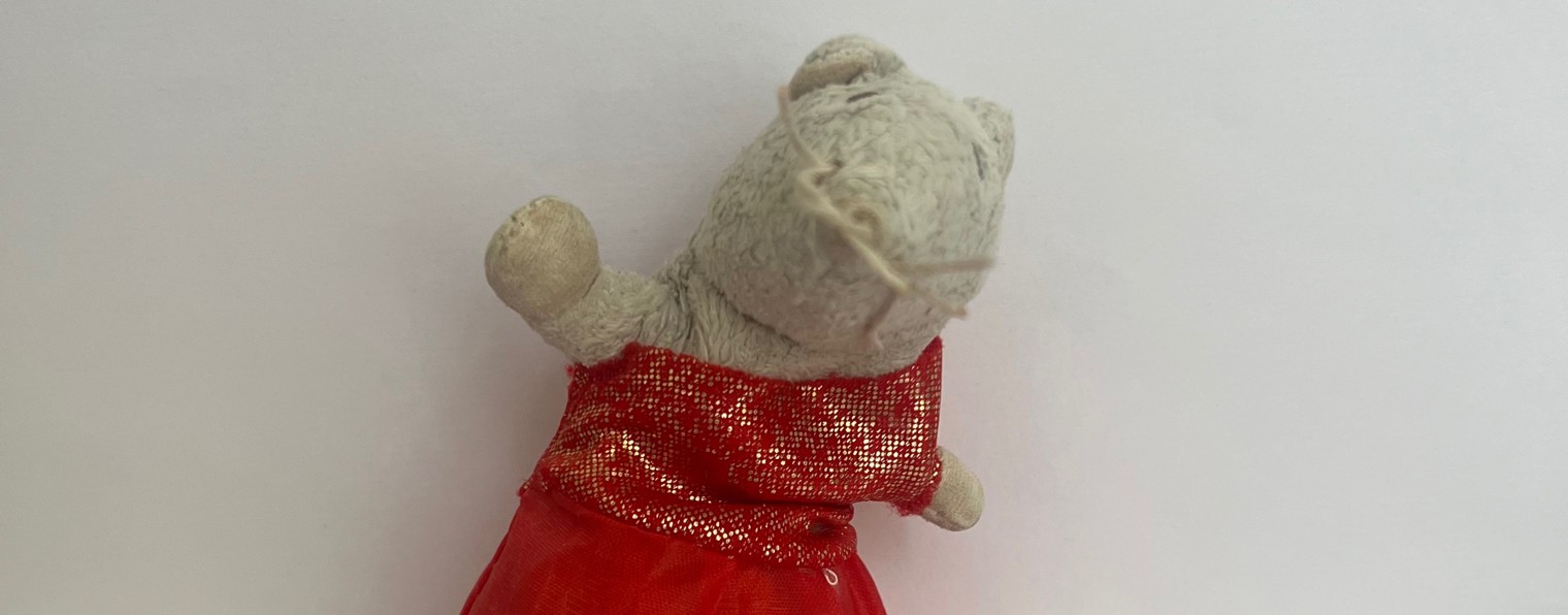 Буша Ум Маусы