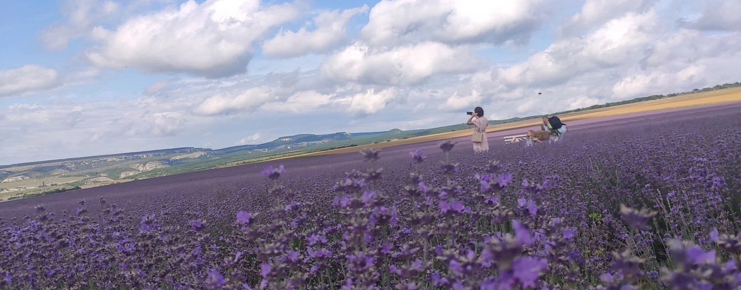 Эфирная школа