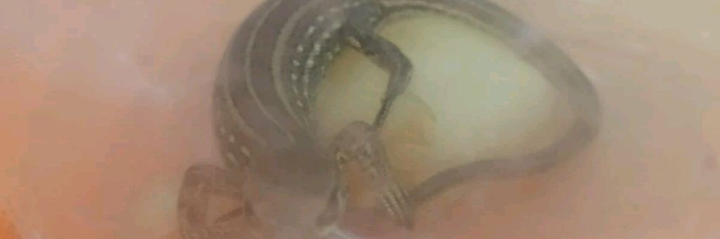 Варюша Победительница 🥇