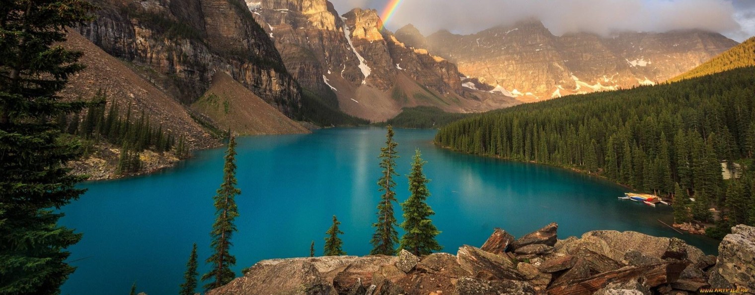 Сердце Природы: Звуки Гармонии