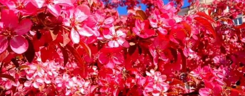 Надежда и её будни