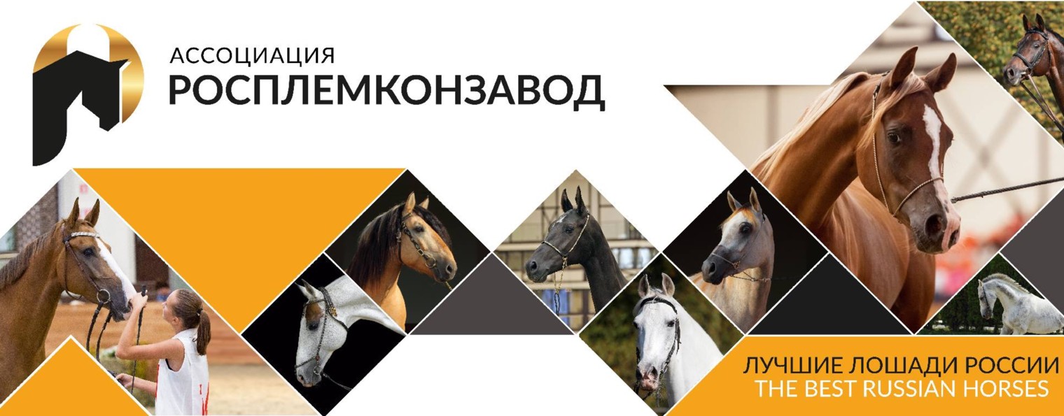 Ассоциация Росплемконзавод